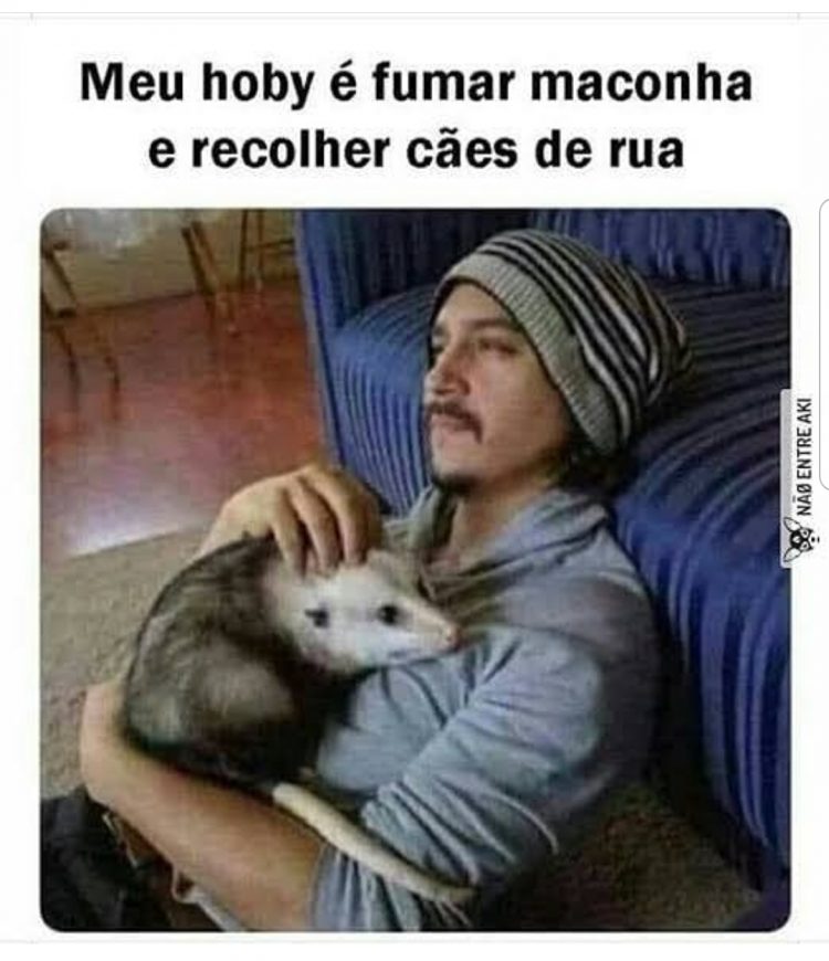 Meu hobby é fumar maconha e recolher cachorros de rua ⋆ Coisas Engraçadas